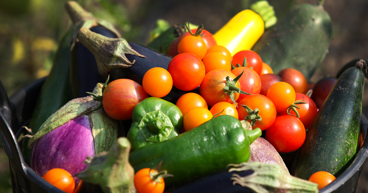 Hawk Ridge Farm | Locally Grown Food For Sale